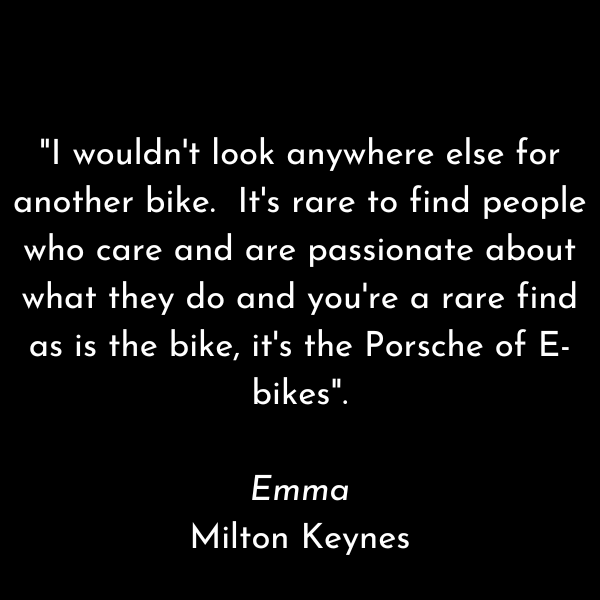 E-Champ Retro Fat Tyre Electric Bike | Electric Bike | E-bike – E-Champ ...