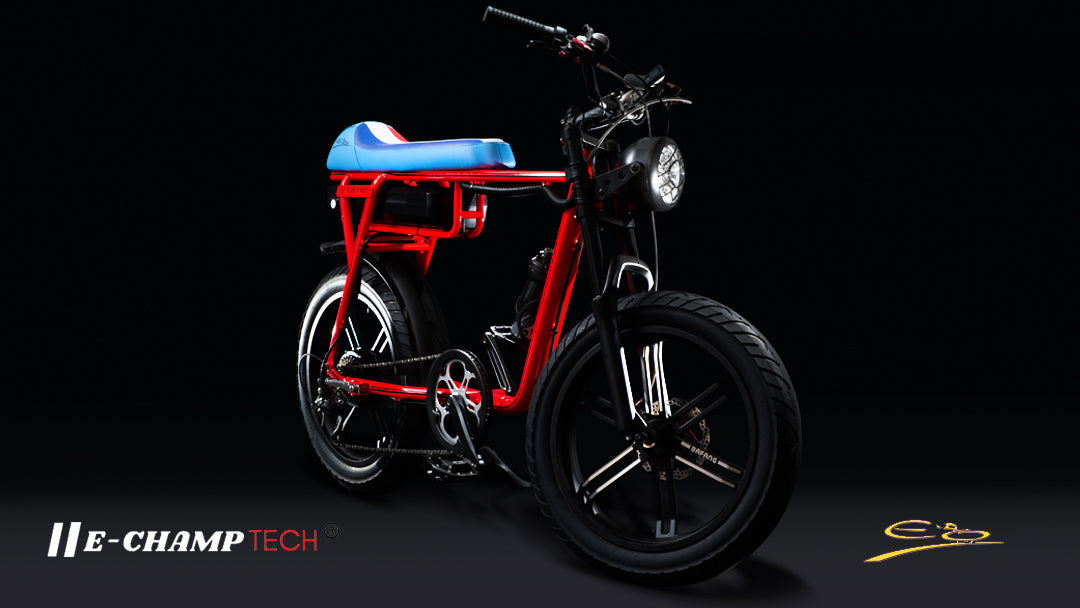 E-Champ Ocon 31 | Fat Tyre Electric Bike | Retro | Electric Bike ...